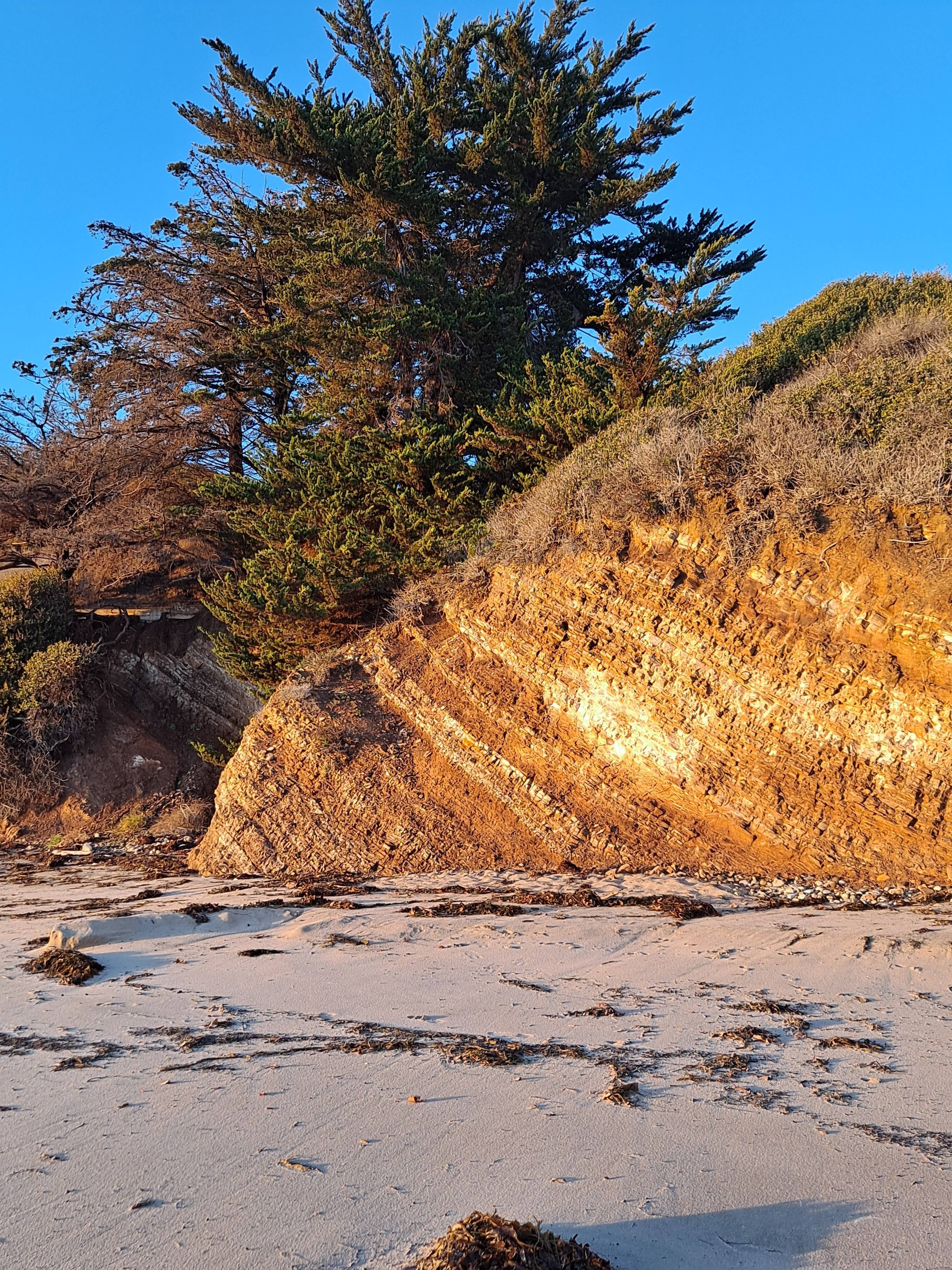 Capturing El Capitan State Beach at Magic Hour - Watercolor Wildflowers ...